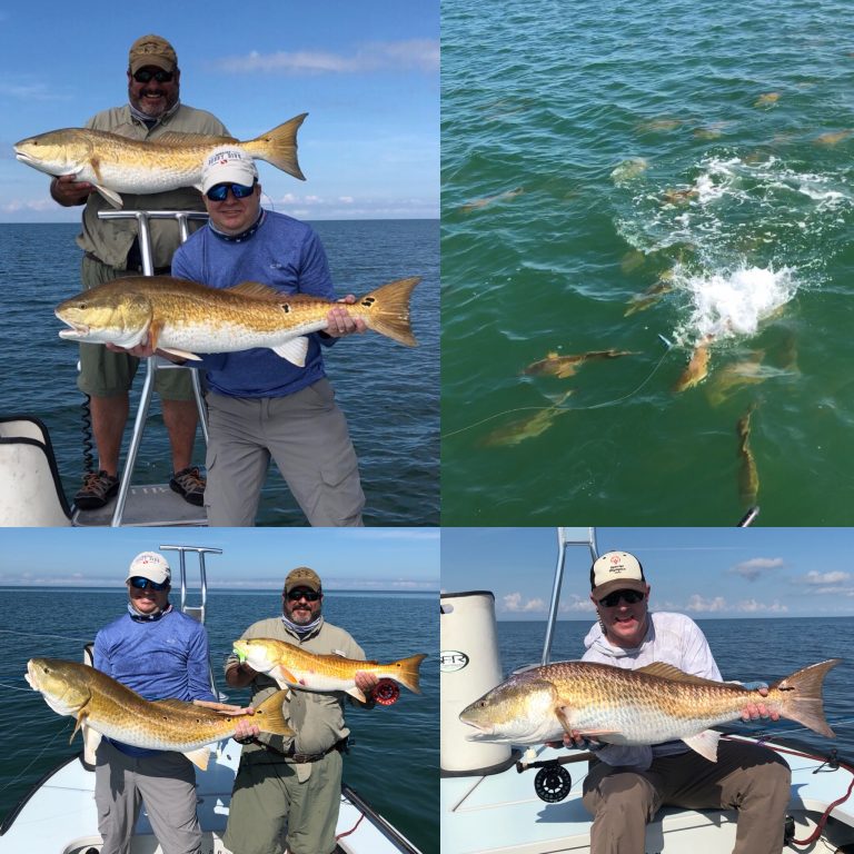Sight Fishing Report