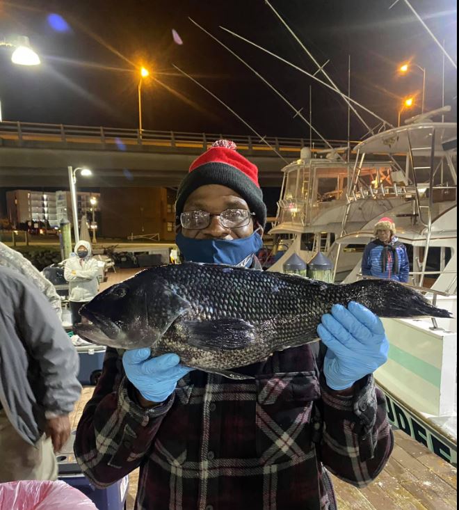 Super Sea Bass