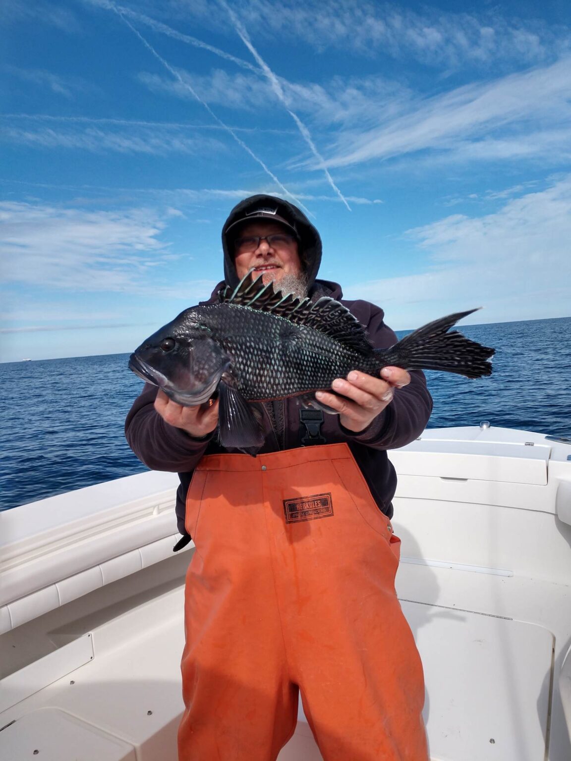 Super Duper Sea Bass